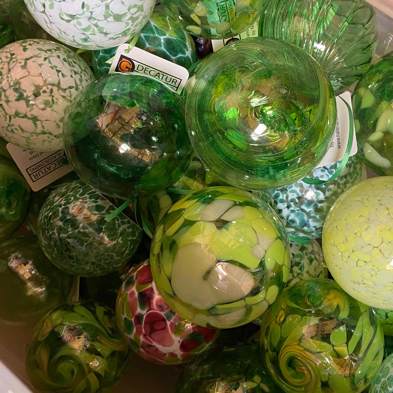 Apply Now Nate's Bio Our Team Photos Videos