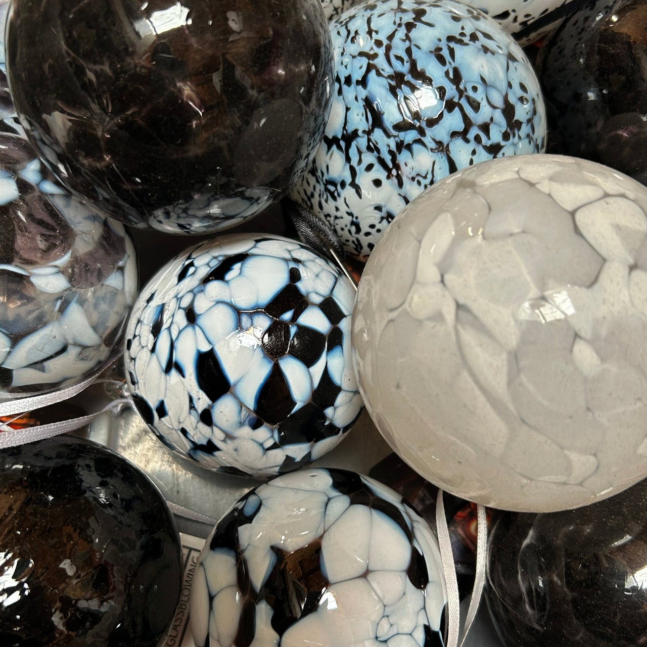 Apply Now Nate's Bio Our Team Photos Videos